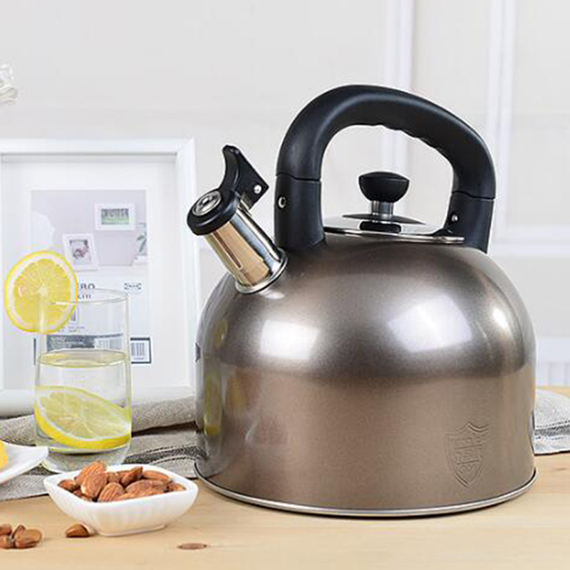 Stainless Steel Kettle 4L/5L/6L Kettle Tea Coffee ... – Grandado