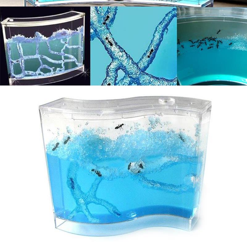Ant 73 * 32 * 78mm Live Ant Habitat Pet Educationa... – Vicedeal