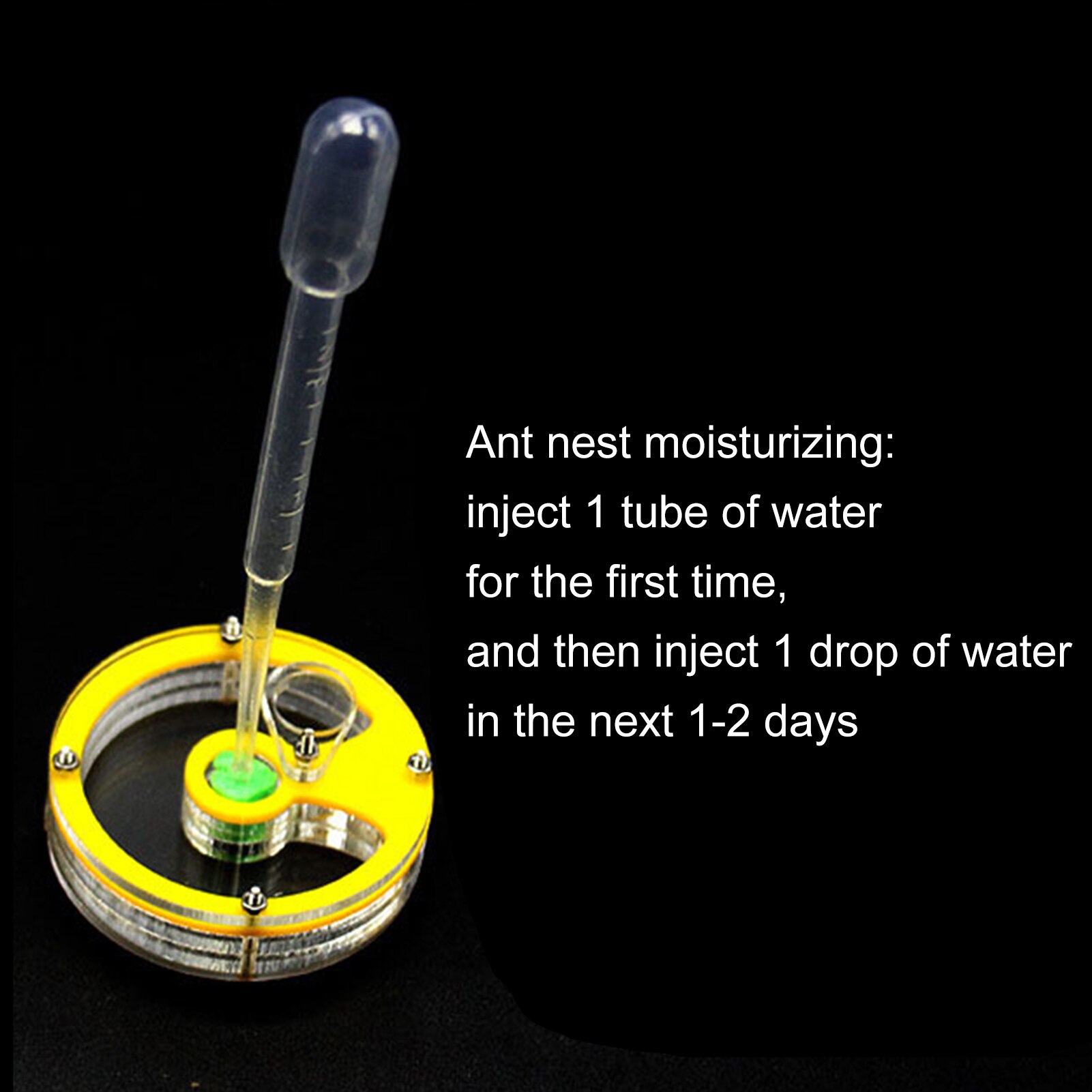 Ant Nest Farm Acrylic Insect Breeding Box Ant Form... – Grandado