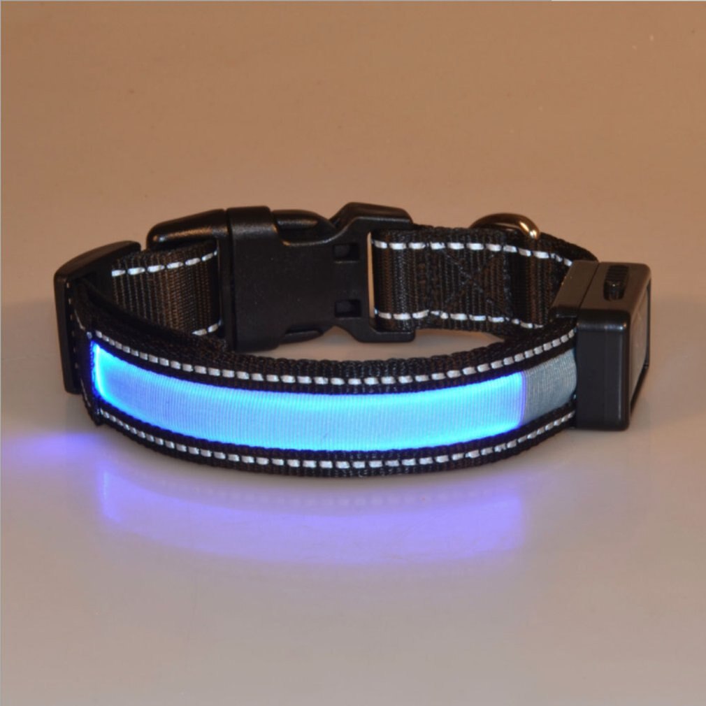 LED Dog Collar Flashing Light Up Night Safety Coll... – Grandado