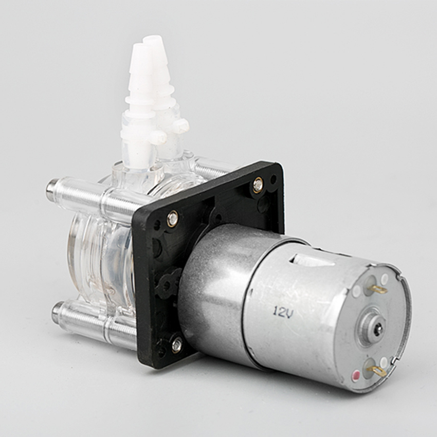 DC 12v/24v Large flow peristaltic pump dosing pump... – Grandado