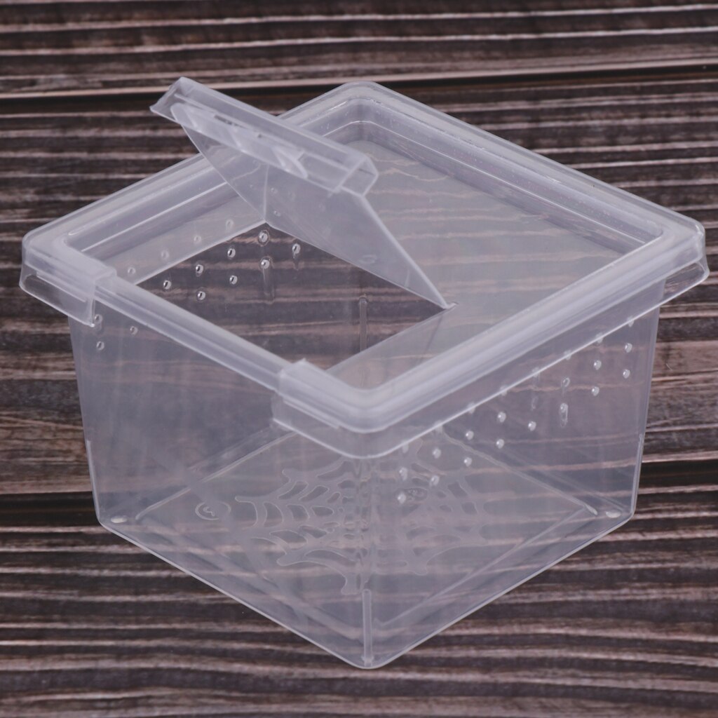Free 10pcs Feeding Box Reptile Cage Hatching Conta... – Grandado