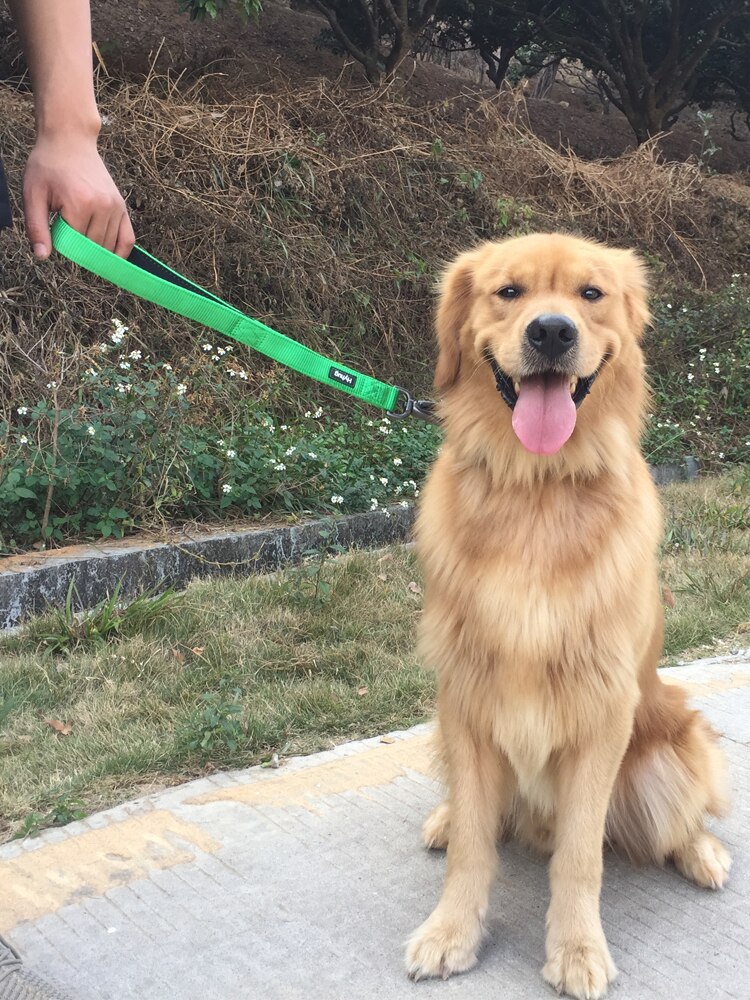 Hyhug kæledyr kort hundesnor til pitbull schæfer l... – Vicedeal