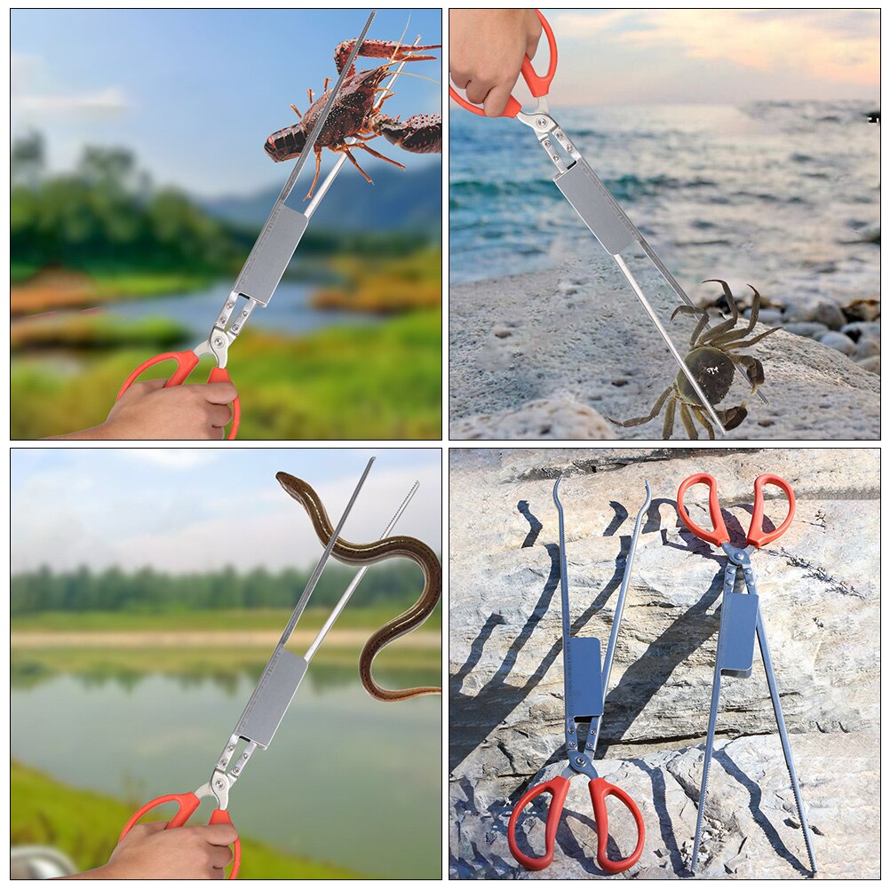 Stainless Steel Crab Clamp Sturdy Eel Clamp Loach ... – Vicedeal