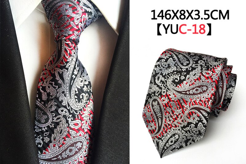 1 PC Premium Paisley Pattern Men Tie Classic Silk ... – Grandado