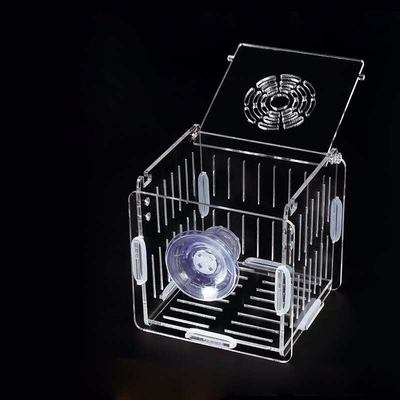 Acrylic Isolation Box Transparent Fish Tank Breedi... – Grandado