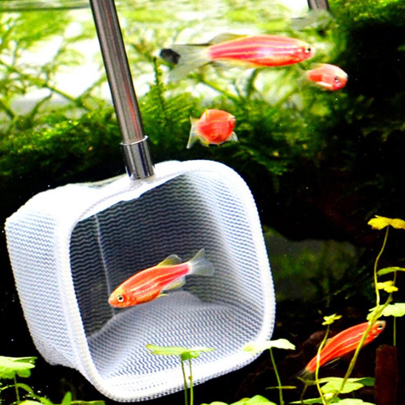 3D Rvs Visnet Intrekbare Aquarium Fish Tank Catch ... – Grandado