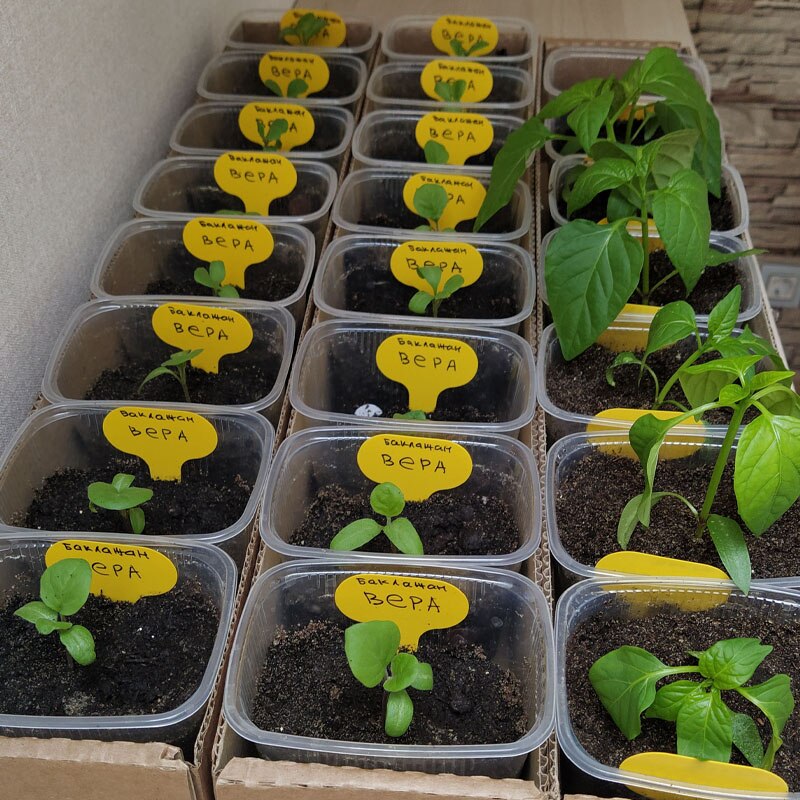 Garden Labels T-Type Plant Labels Classification W... – Grandado