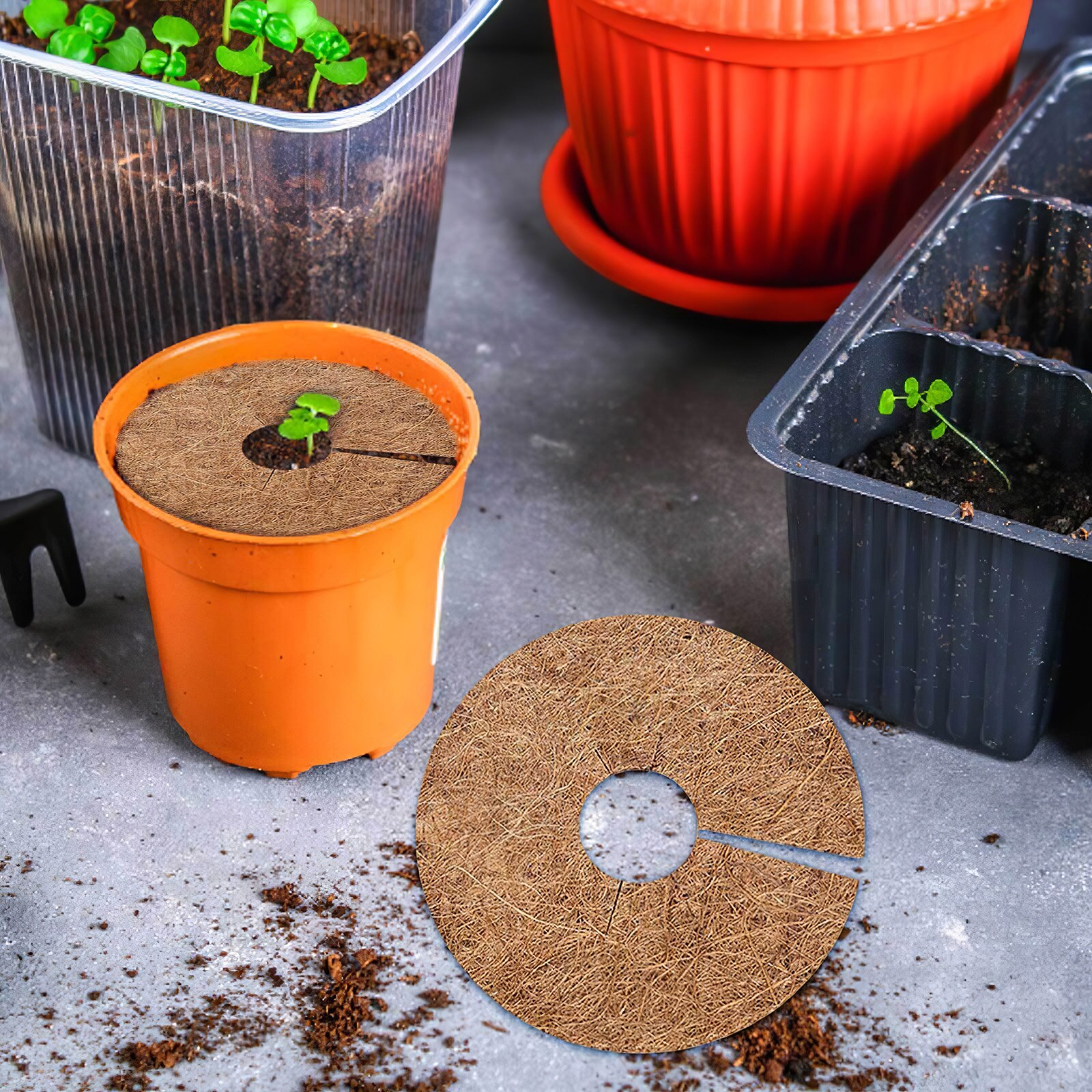 30Cm Kokosnoot Mat Natuurlijke Kokosnoot Coco Line... – Vicedeal