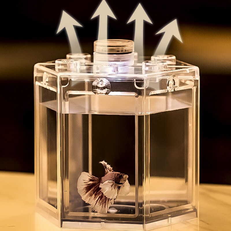 Desktop Aquarium Fish Tank Turtle Tank Office Mini... – Grandado