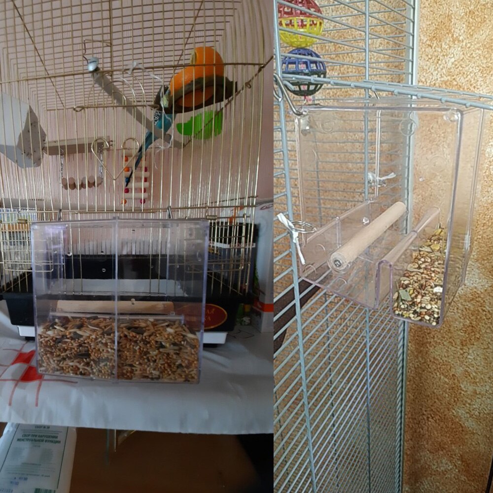 Parrot Spill Proof Feed Box Bird Feeders Clear Gla... – Vicedeal