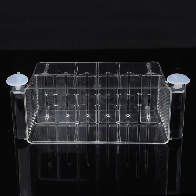 Aquarium Breeding Box Fry Tank Hatchery Baby Trap ... – Grandado