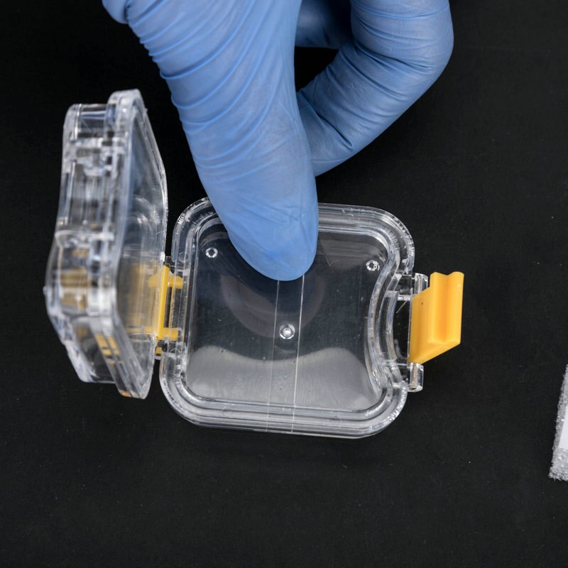 dental lab supply 50pcs Plastic denture Tooth Box ... – Vicedeal