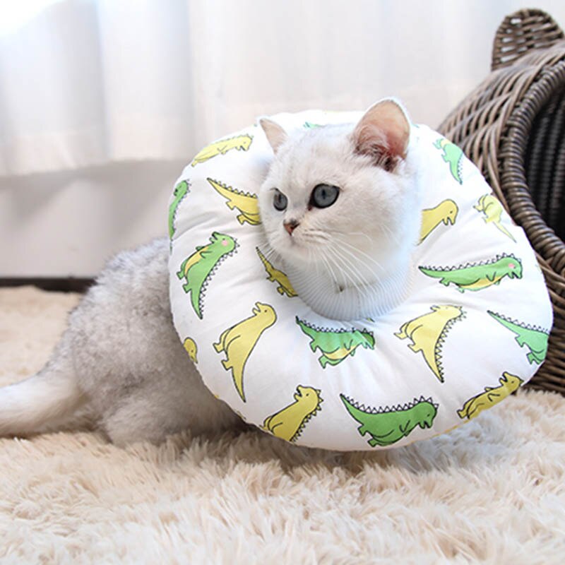 Pet Protective Recovery Collar Cat Dog Anti Lickin... – Grandado