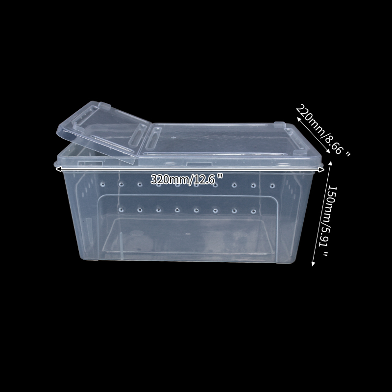Transparent Plastic Box Insect Reptile Transport B... – Vicedeal