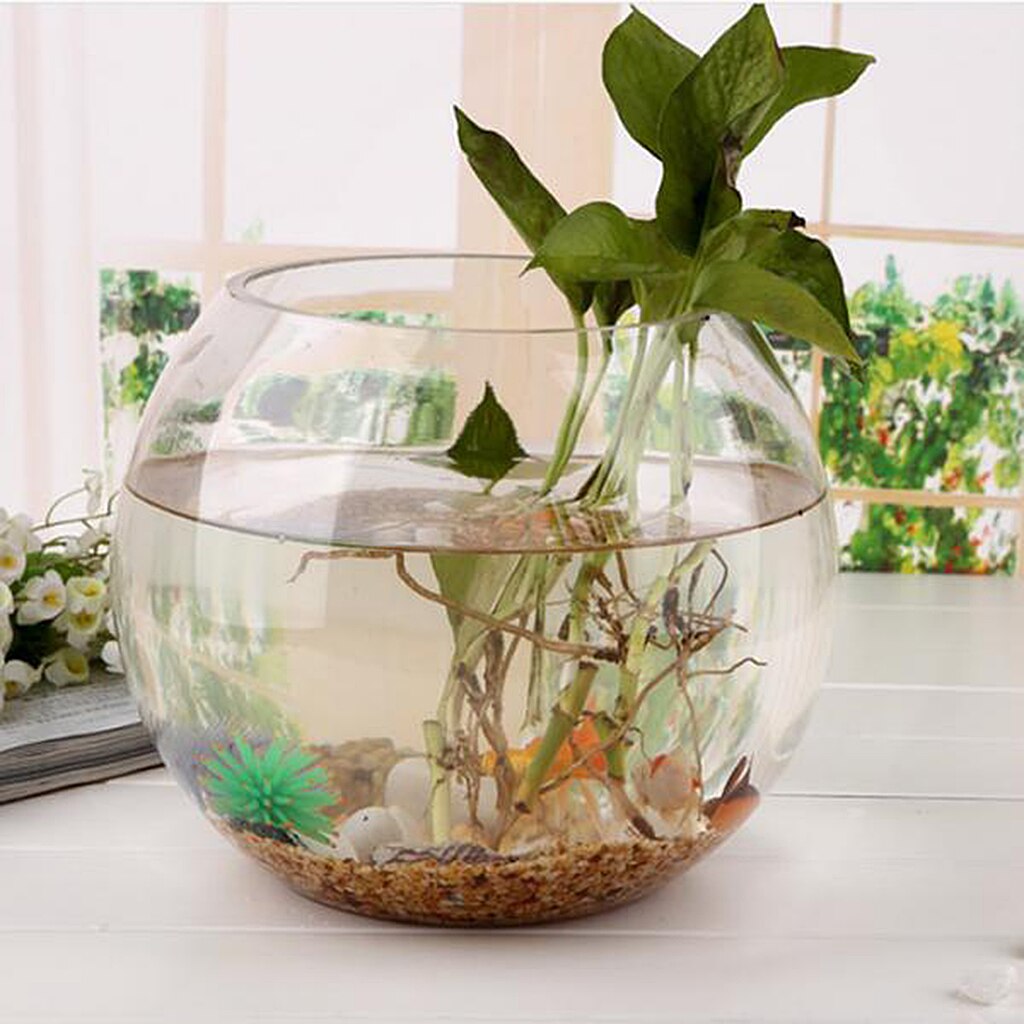 Transparent Clear Glass Tabletop Sphere Flower Vas... – Grandado