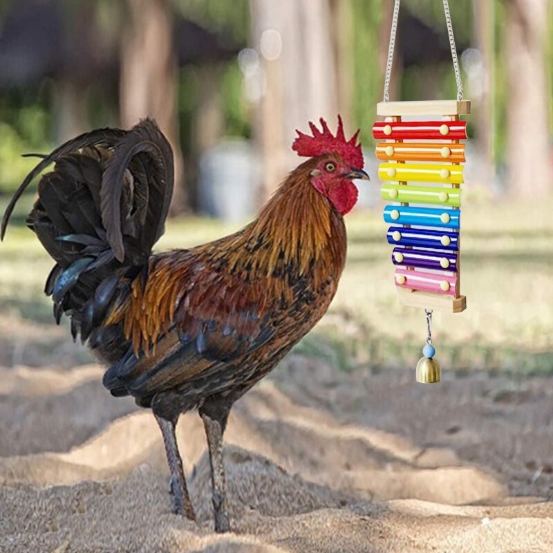 Hanging Chicken Sound Toys Hens Rooster Pecking Xy... – Grandado