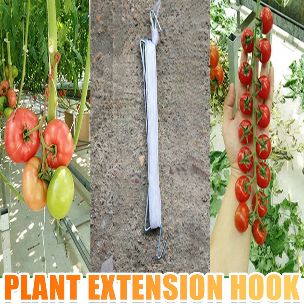 Garden Plant Support Tomato Support J Hook Tomato ... – Vicedeal