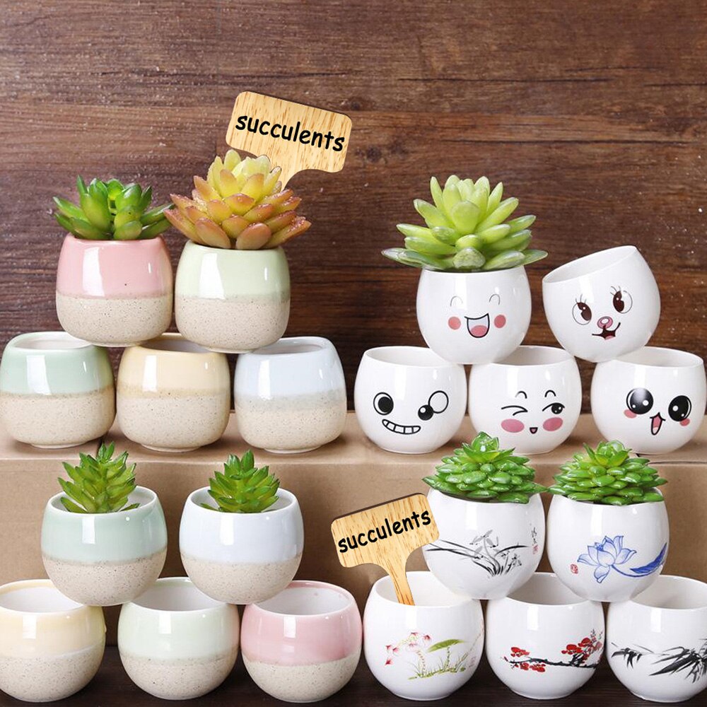 50 PCS Garden Plant Labels Eco-Friendly T-Type Woo... – Grandado