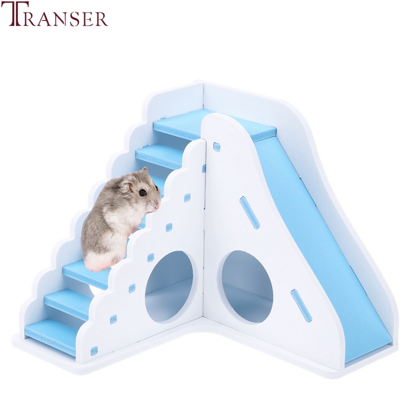 Transer Small Pet Hamster Toys Entertainment Sport... – Grandado
