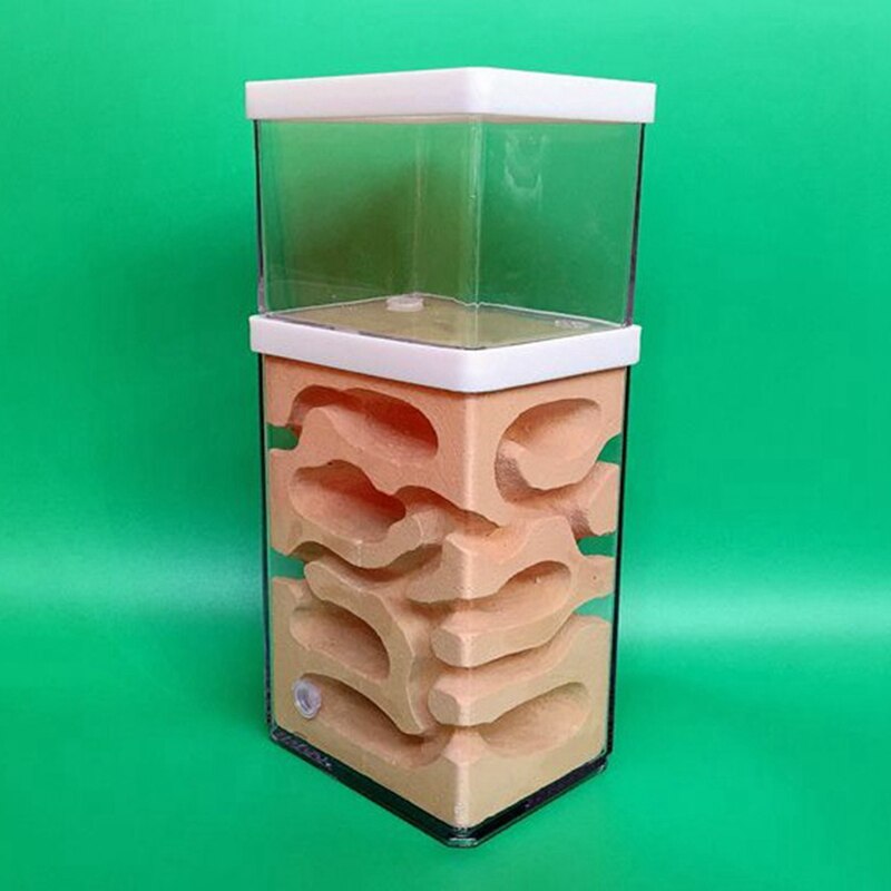 Ant Farm High Moisture Insect Hotel Castle Ecologi... – Vicedeal