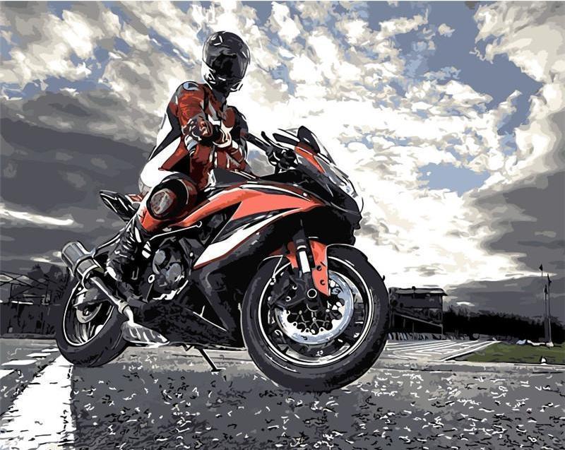 6952 Motorcycle - DIY Paint By Numbers – Vicedeal
