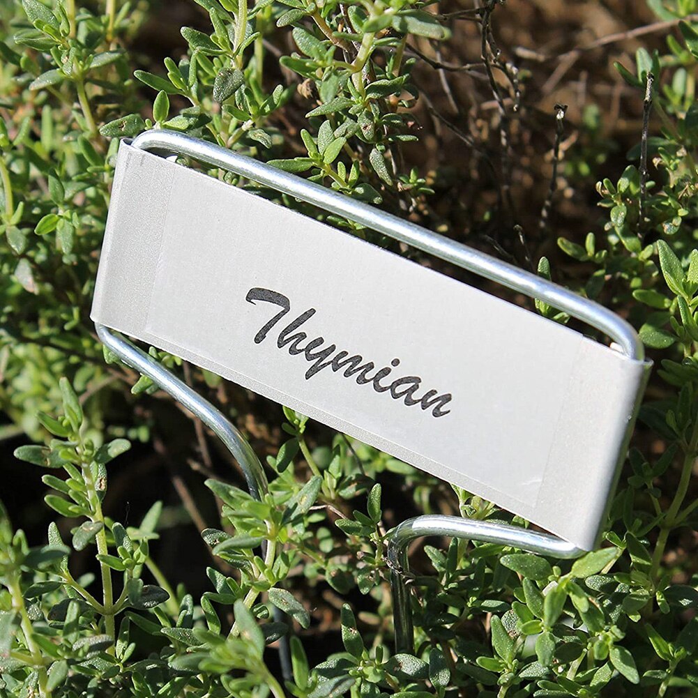 20pcs Seedling Tags Succulents Flowers Garden Mark... – Grandado
