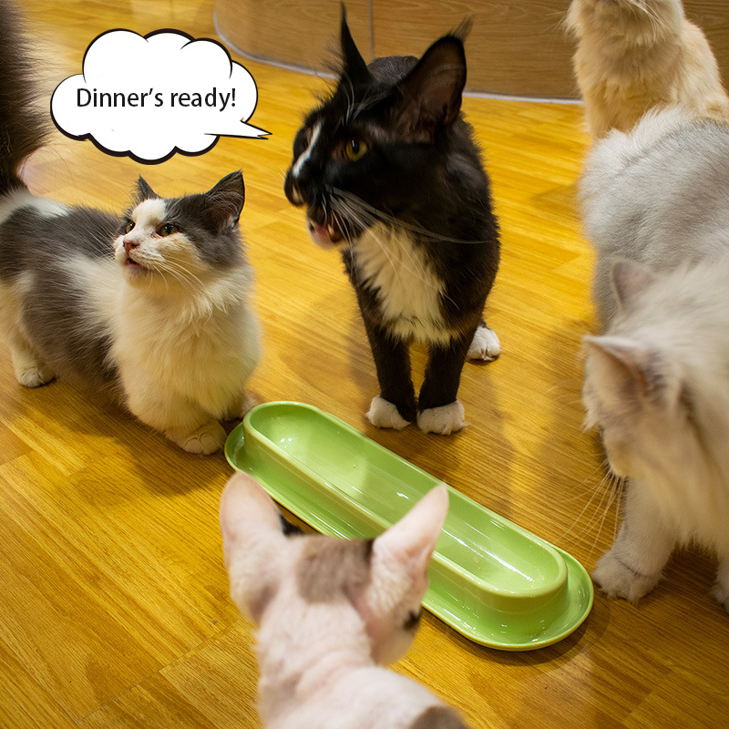 Long Pet Cat Bowl 40cm Upgraded Multi-cats Feeding... – Vicedeal