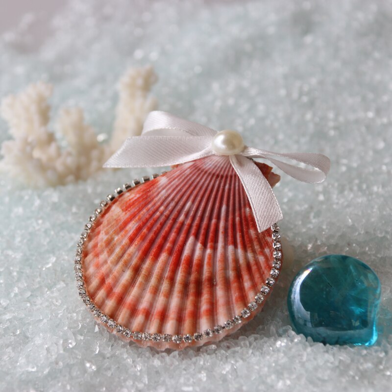 (1pcs/box)Super Lovely Colorful Scallop Box Beach ... – Vicedeal
