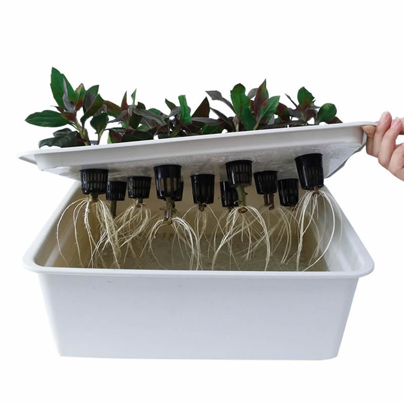 Indoor Home automated grow box hydroponics system ... – Grandado