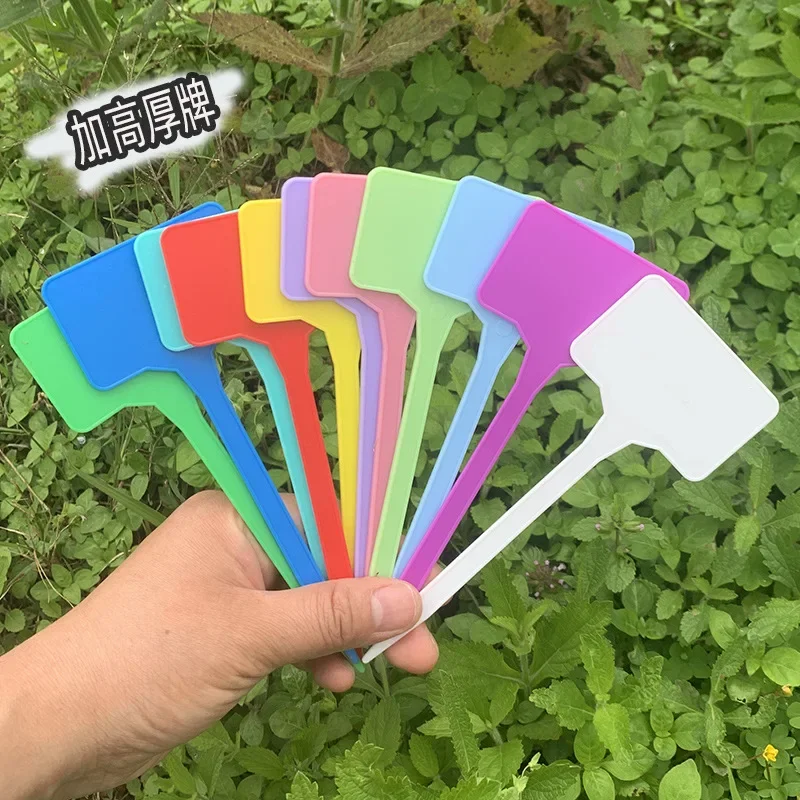 Plant Marks Large Horticultural Label Flower Plant... – Grandado