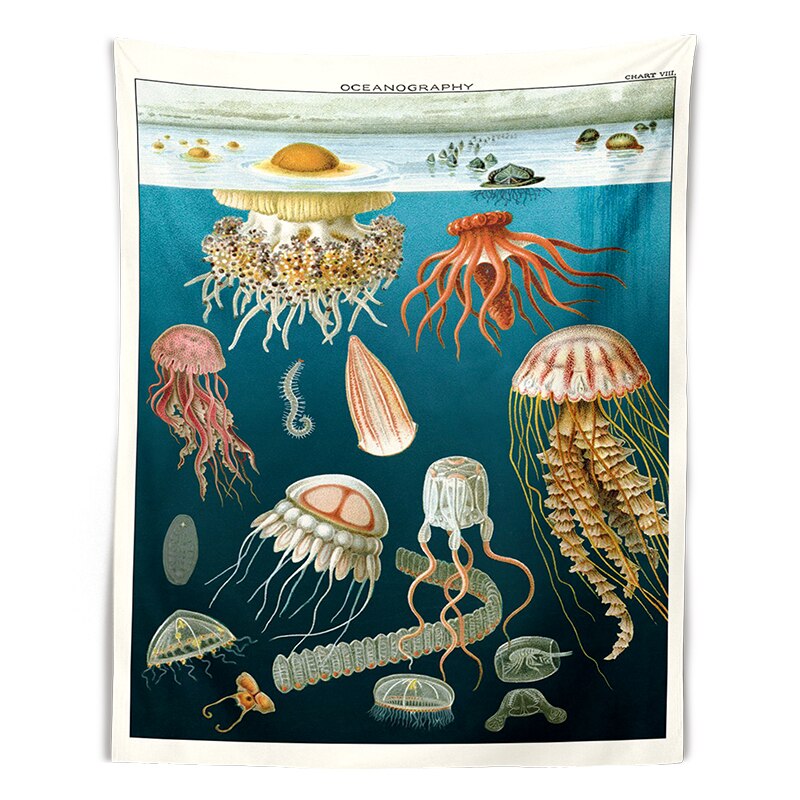 Vintage oceanography Illustration Tapestry Wall Ha... – Vicedeal