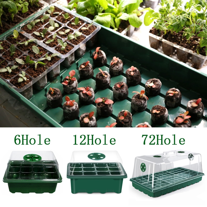 6/12 Cells Nursery Pots Seedling Starter Tray Extr... – Grandado