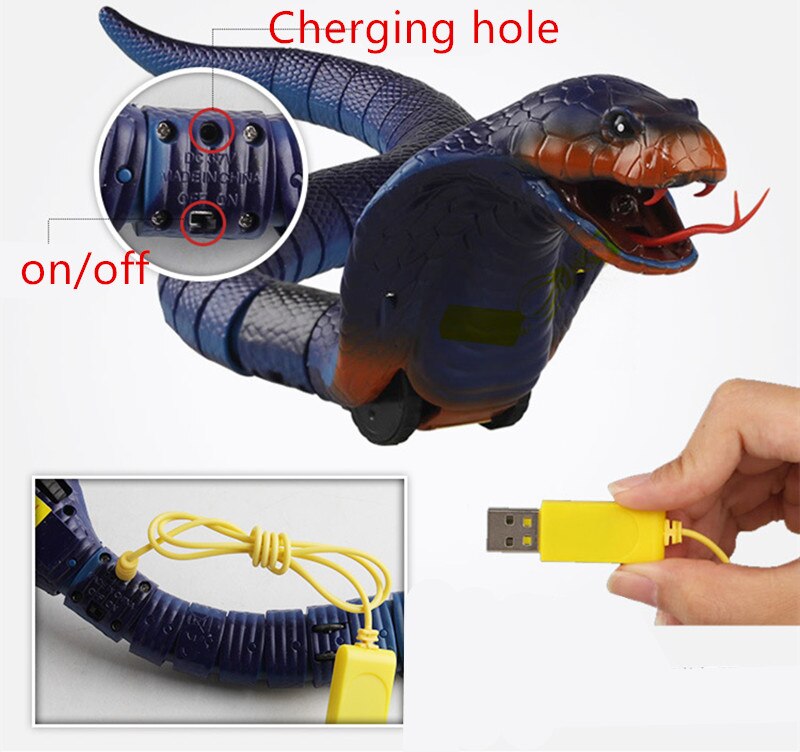 RC Snake Cobra Naja Remote Control Animal Trick Te... – Grandado
