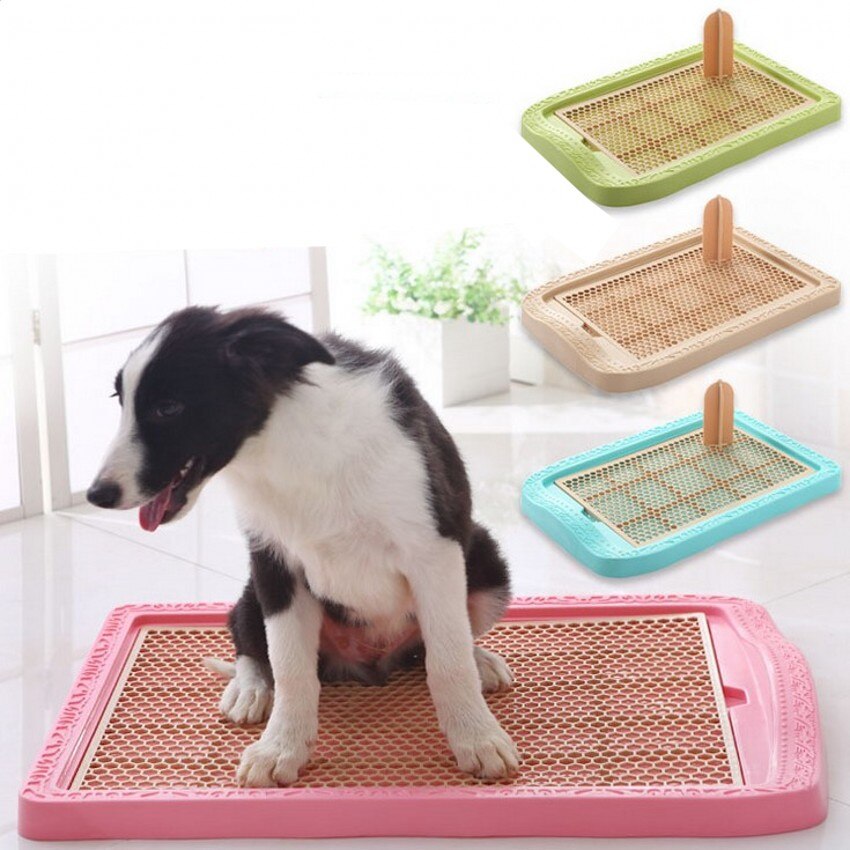 Hond Wc Training Plastic Met Pijler Teddy Bichon K... – Grandado