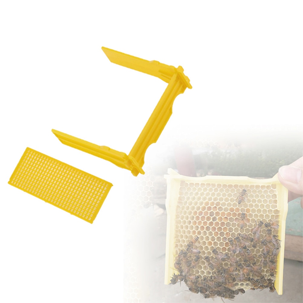 Beehive Box Harvest Queen Pollination Beekeeping M... – Grandado