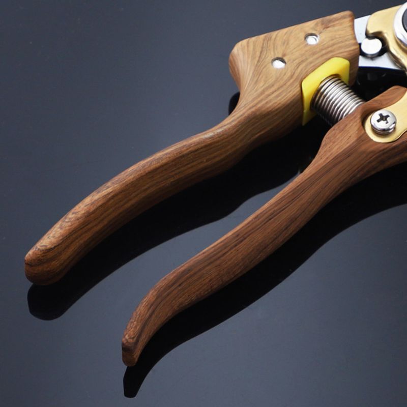 SK5 Steel Garden Shears Beak Shape Pruner Portable... – Grandado