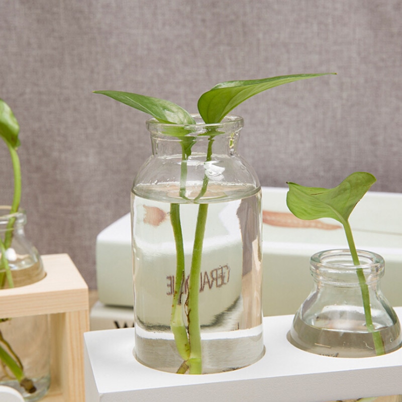 Wooden Stand Glass Terrarium Container Hydroponics... – Grandado