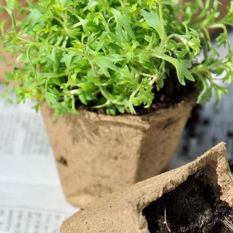10/5Pcs Nursery Pots Biodegradable Paper Pulp Peat... – Grandado