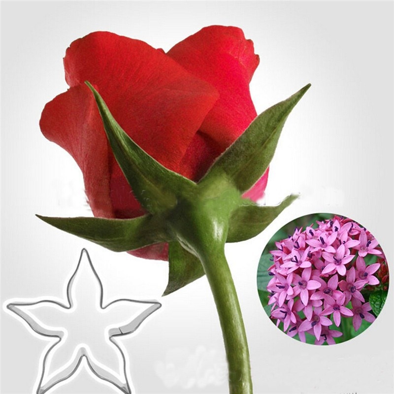 1piece Flowers Shape Fondant Cake Tool Rose Recept... – Vicedeal