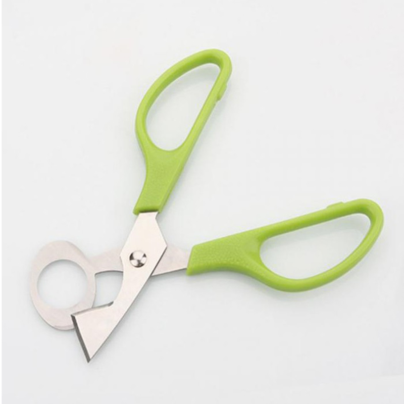 quail egg scissors and stainless steel eggshell cu... – Vicedeal