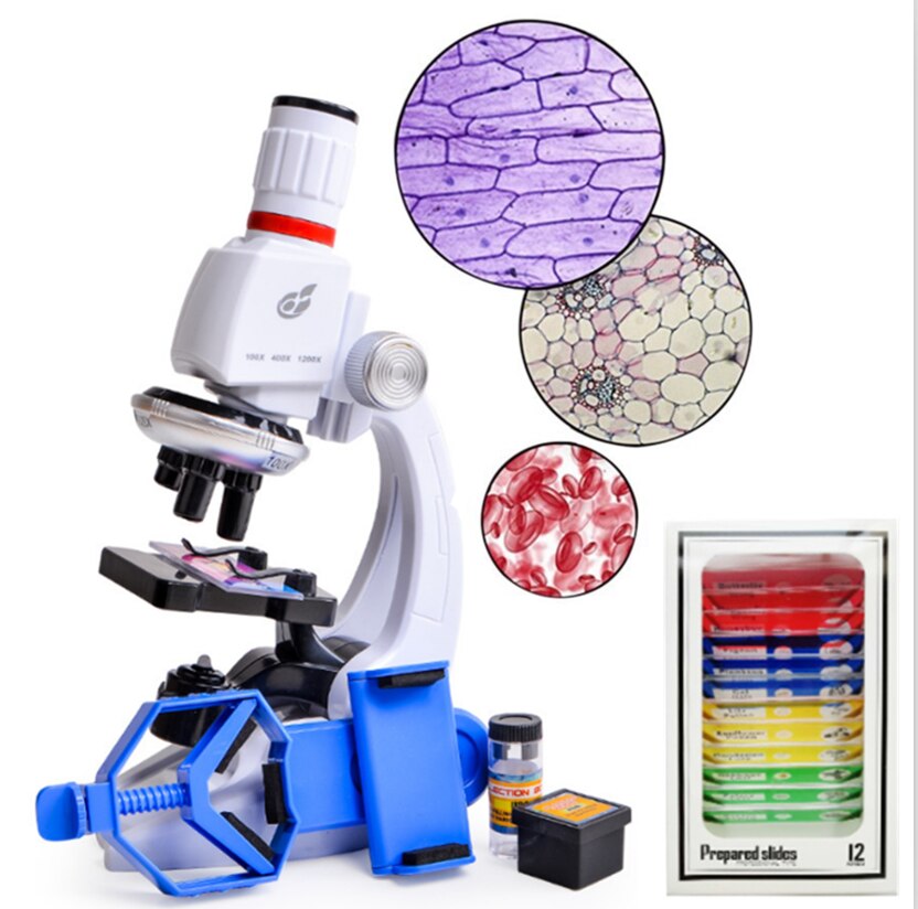 ANENG 1200X Refined Biological Microscope Kit Lab ... – Grandado