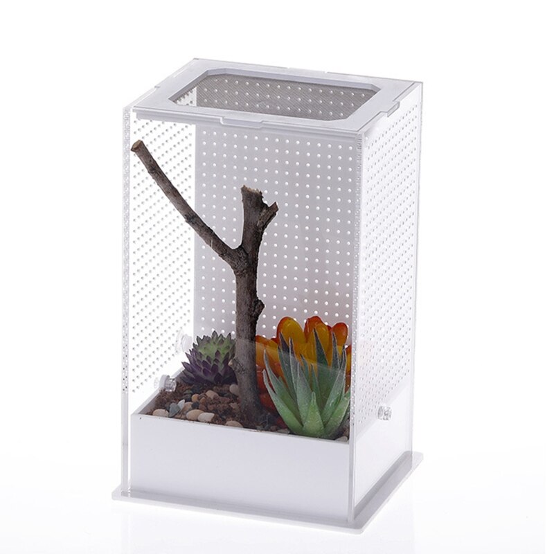 Insect Feeding Box Transparent Container Plastic T... – Vicedeal