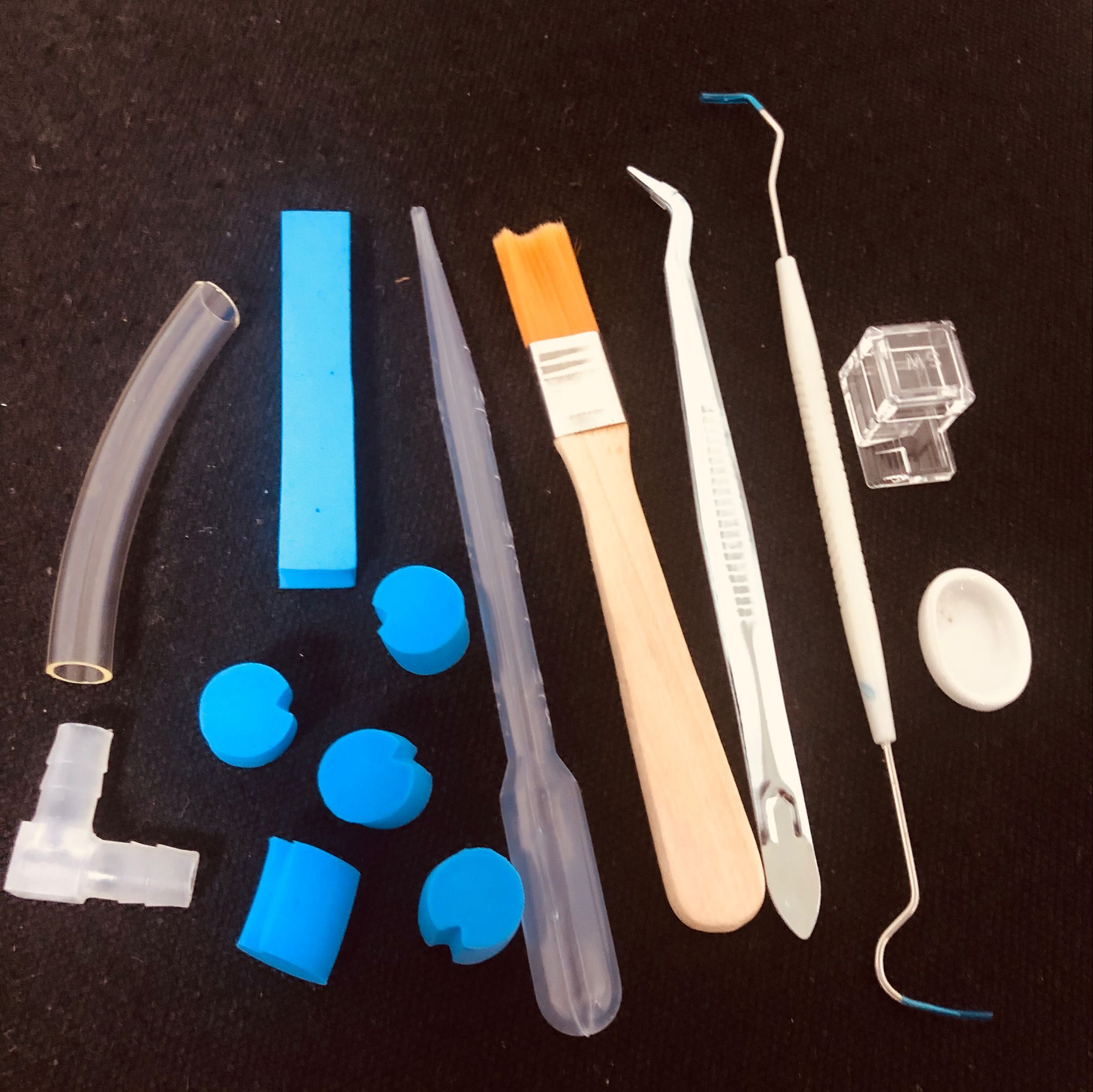 10 in 1 set Acrylic Ant Farm Tools Pet Anthill Ant... – Grandado