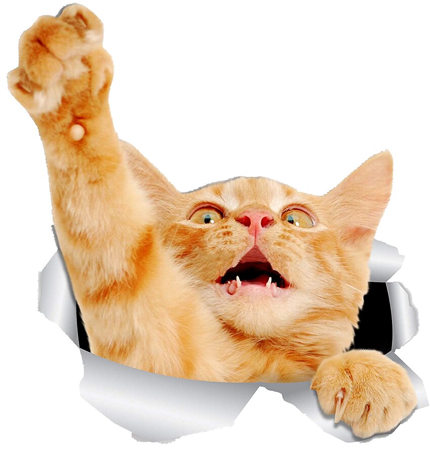 Three Ratels FTC-1097 3D Reaching Ginger Cat Stick... – Grandado