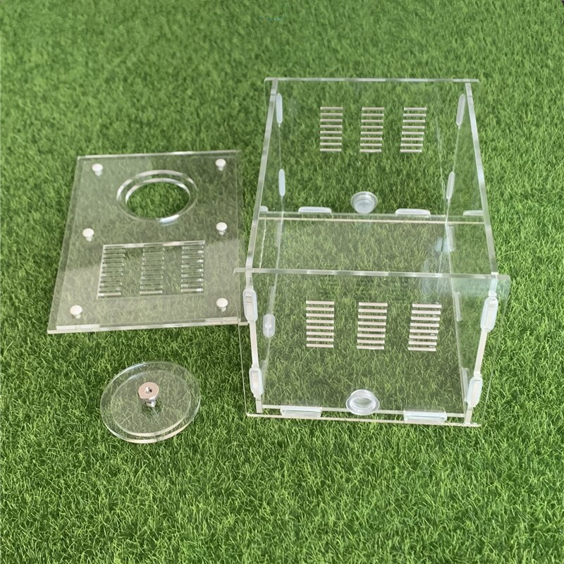 1PCS 15*10*10cm Acrylic Ant Activity Area with Wat... – Vicedeal