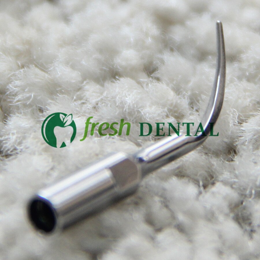 10PCS Dental Ultrasonic Scaler tips PD1 Supragingi... – Grandado