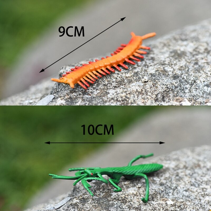 12pcs/set Simulation Solid Static Wildlife Model O... – Grandado