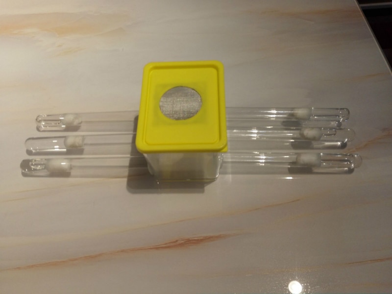1PCS Ant nest 6 15X150 test tube ants pet test tub... – Vicedeal
