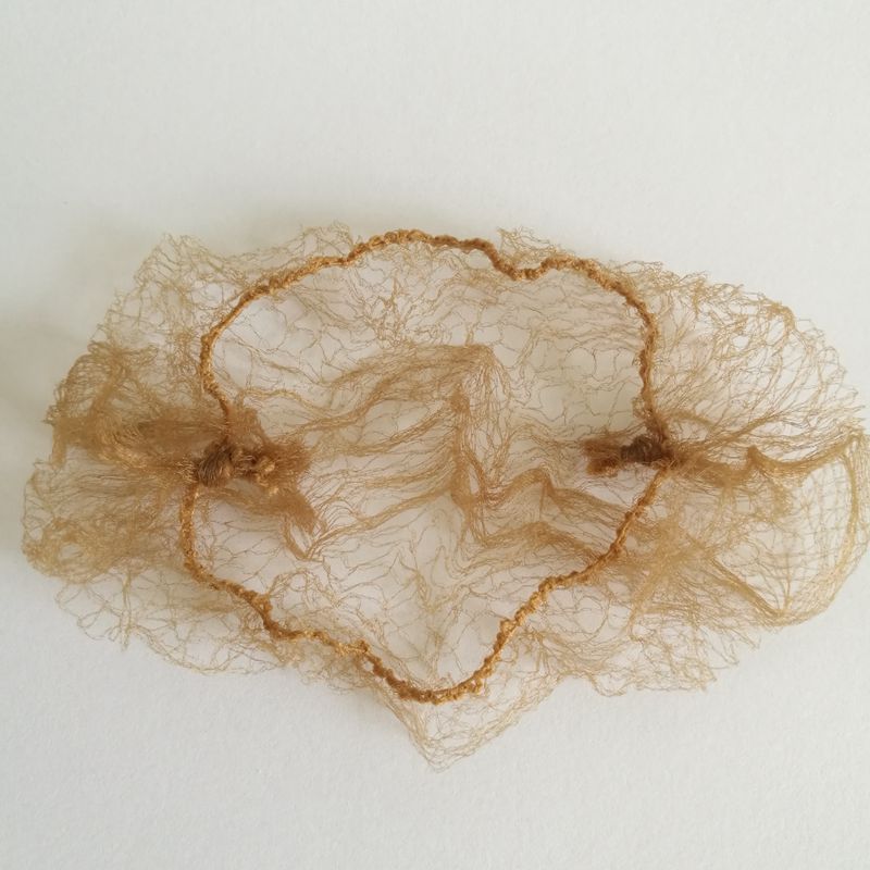 50pcs Light Brown Hair Bun Cover Net Small Size 5c... – Vicedeal